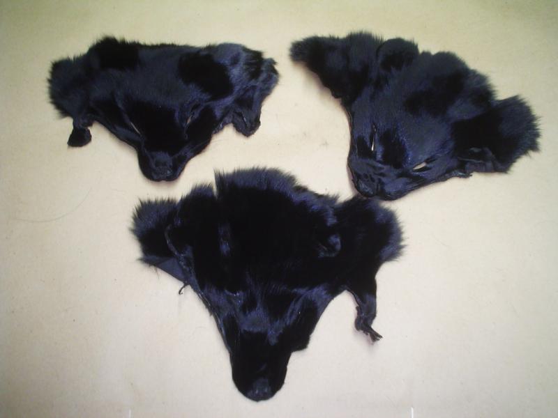 Theodora Fur Corp. - Fox faces